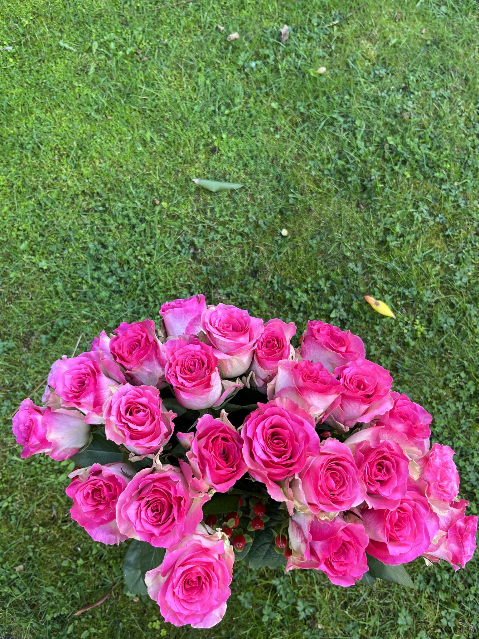 A MALIBU ROSES - Flores&Sabores Florist